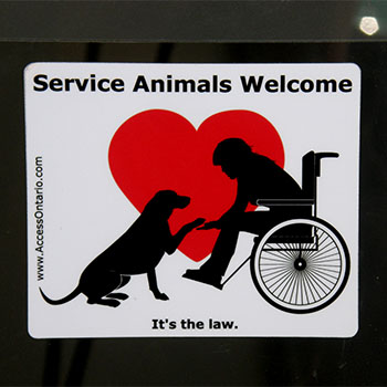 Durable vinyl window stickers for outside use